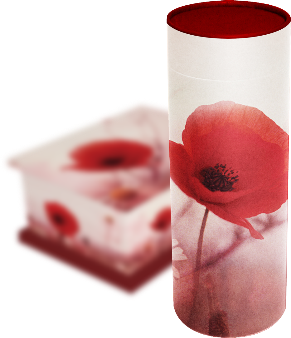 Scatter Tubes – Reflections Coffins