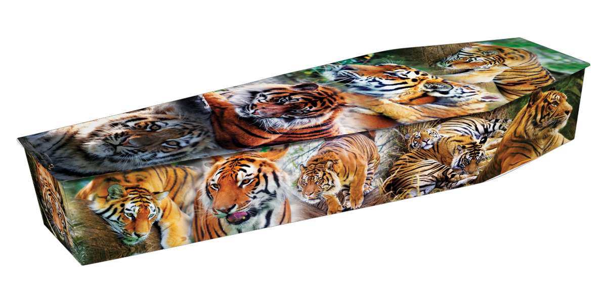 Animal Kingdom – Reflections Coffins